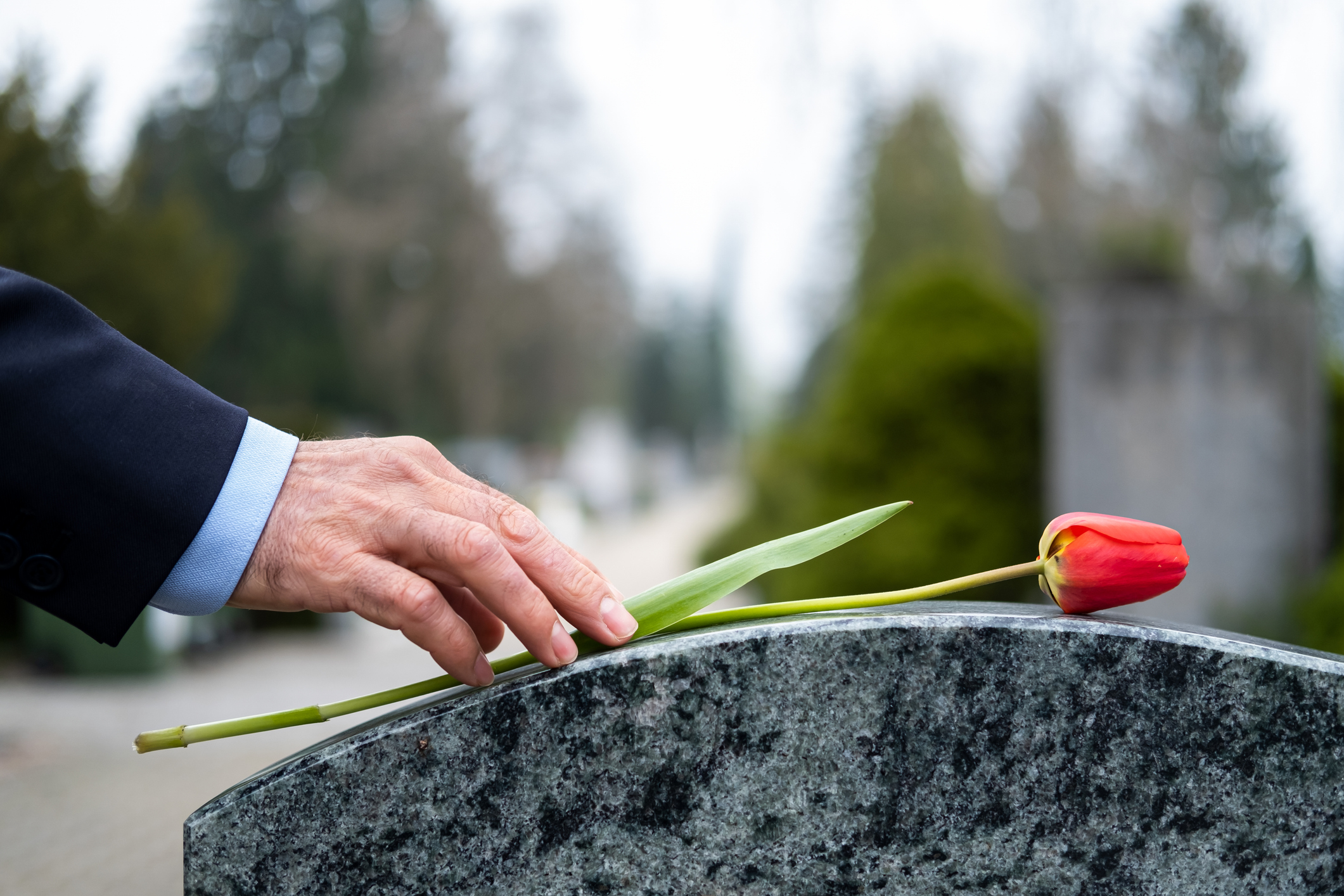 Death and the Republic: Some Decisions Cannot Wait | Hammerle Morris ...